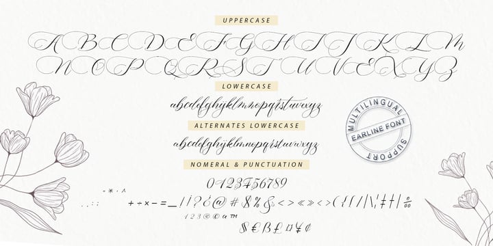 Earline Font | Webfont & Desktop | MyFonts