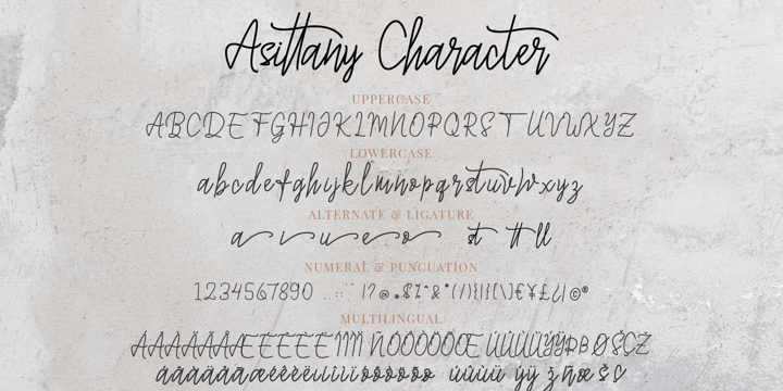 Asittany Script Font | Webfont & Desktop | MyFonts