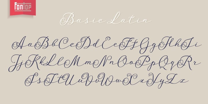 Artisan Script Bundle Font | Webfont & Desktop | MyFonts