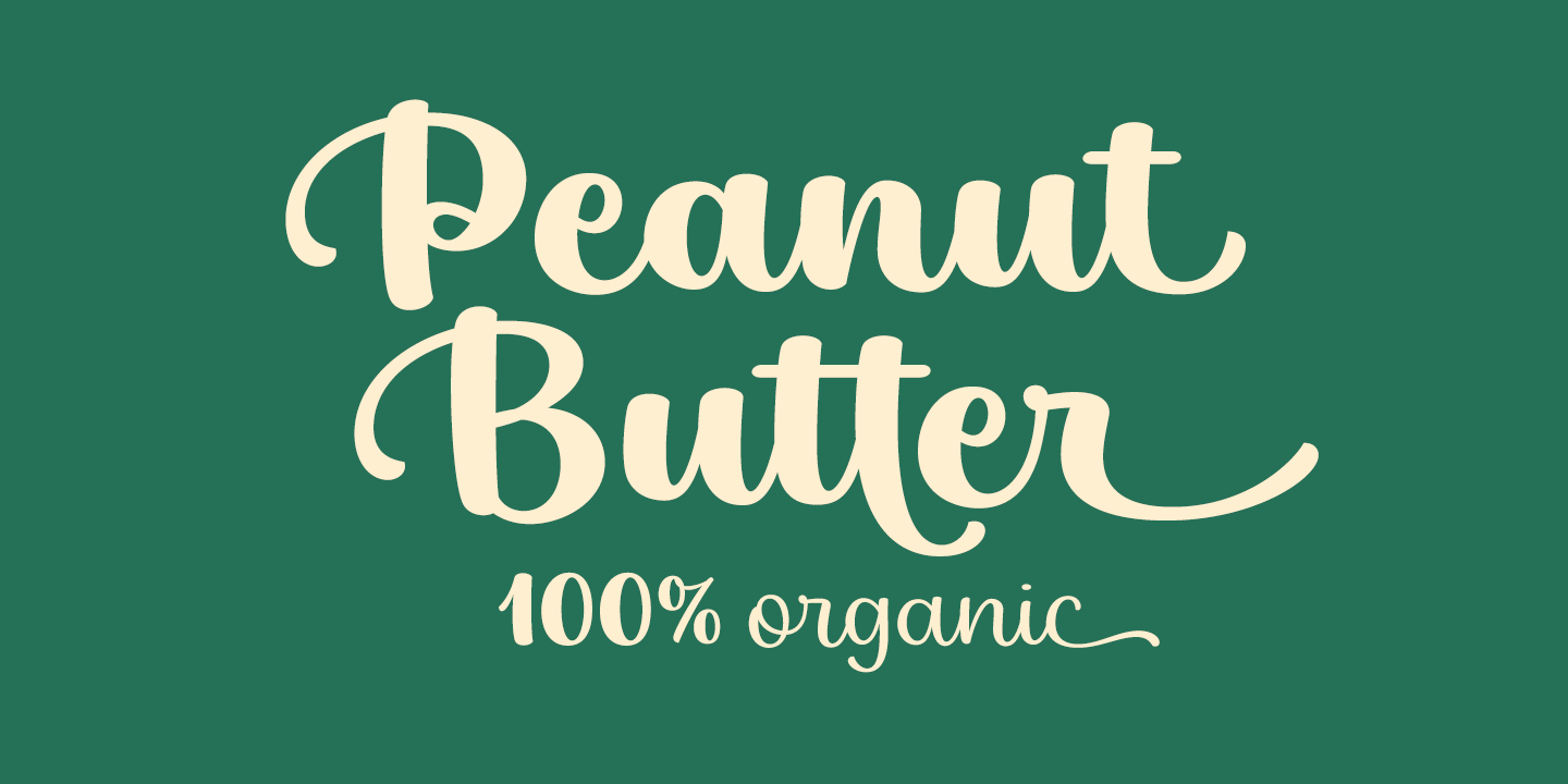 Baguet Script Webfont Desktop Font MyFonts
