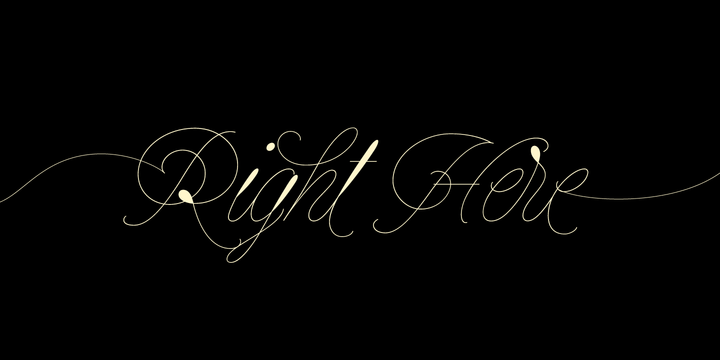 String Webfont Desktop Font MyFonts