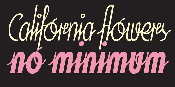 Phillies Cursive Font Download - fasrspy