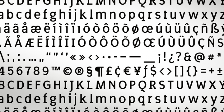 ruff ryders - Abstract Fonts - Download Free Fonts