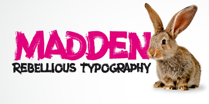 hidden in demo - abstract fonts - download free fonts