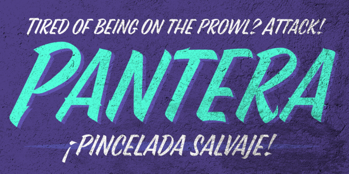 Pantera | Webfont & Desktop font | MyFonts