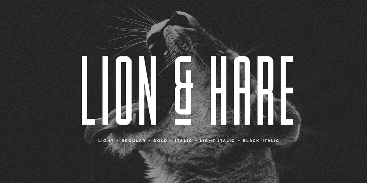 detroit lions - Abstract Fonts - Download Free Fonts