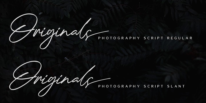 Photography Script Font | Webfont & Desktop | MyFonts